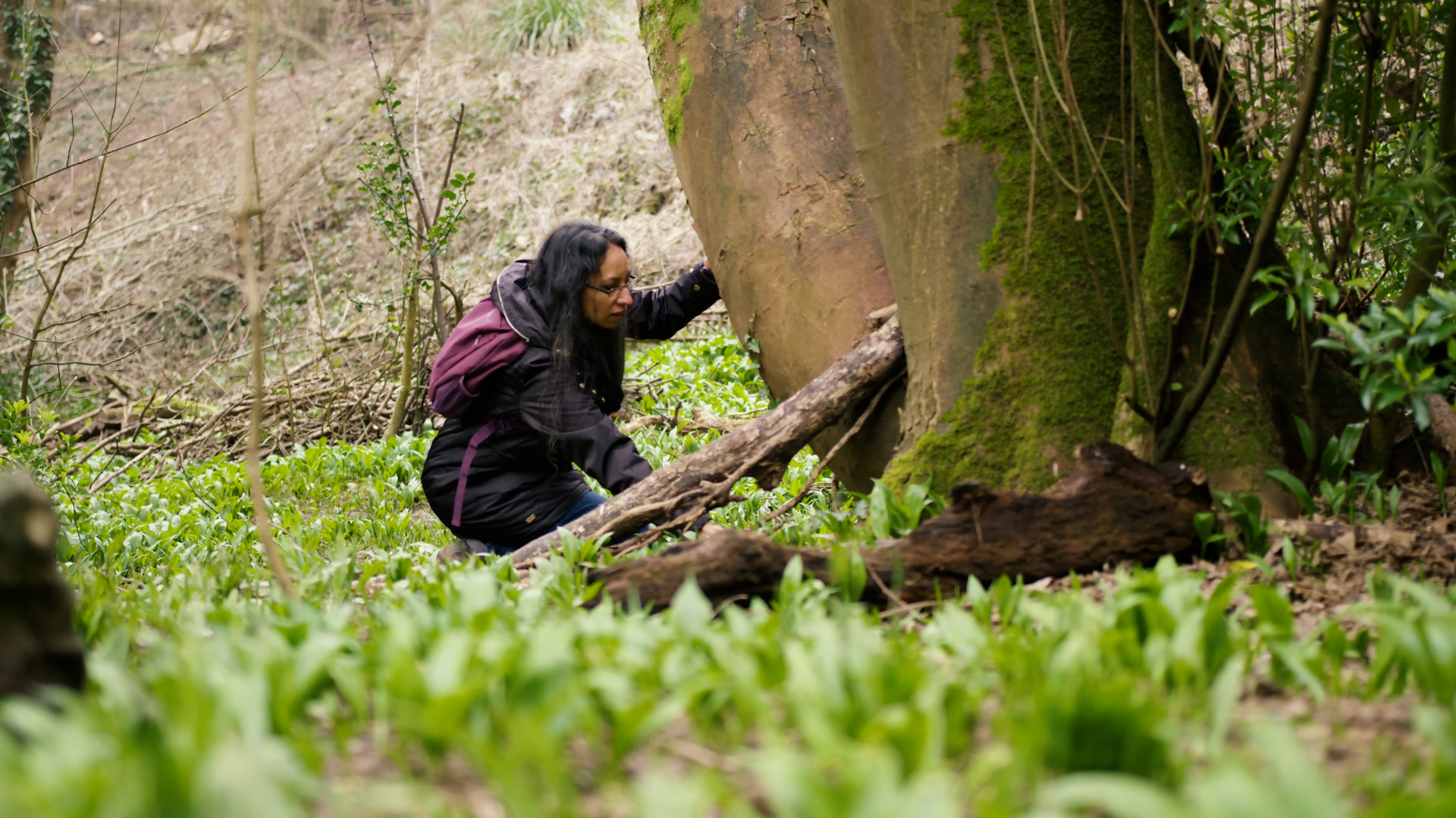 Bristol Green Capital: Seeing the Wood for the Trees with Corporate ...